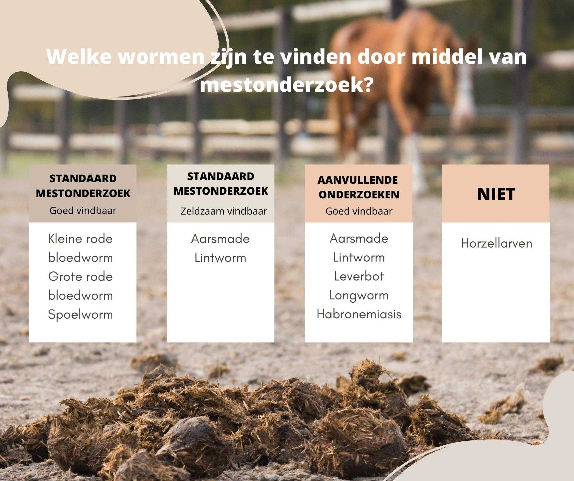 Welke wormen zijn te vinden door middel van mestonderzoek?